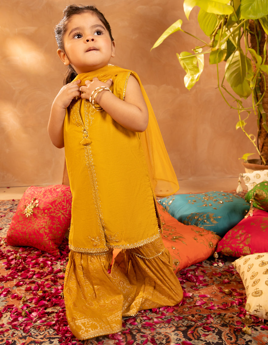 JGK-S-JIF-25-1701 FB/IRIS-01 – J. Junaid Jamshed UK